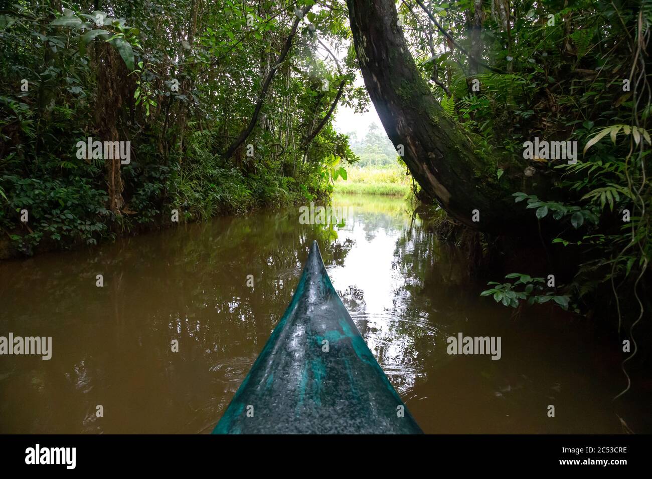 The boat ride on the water in the rainforest on the island of ...