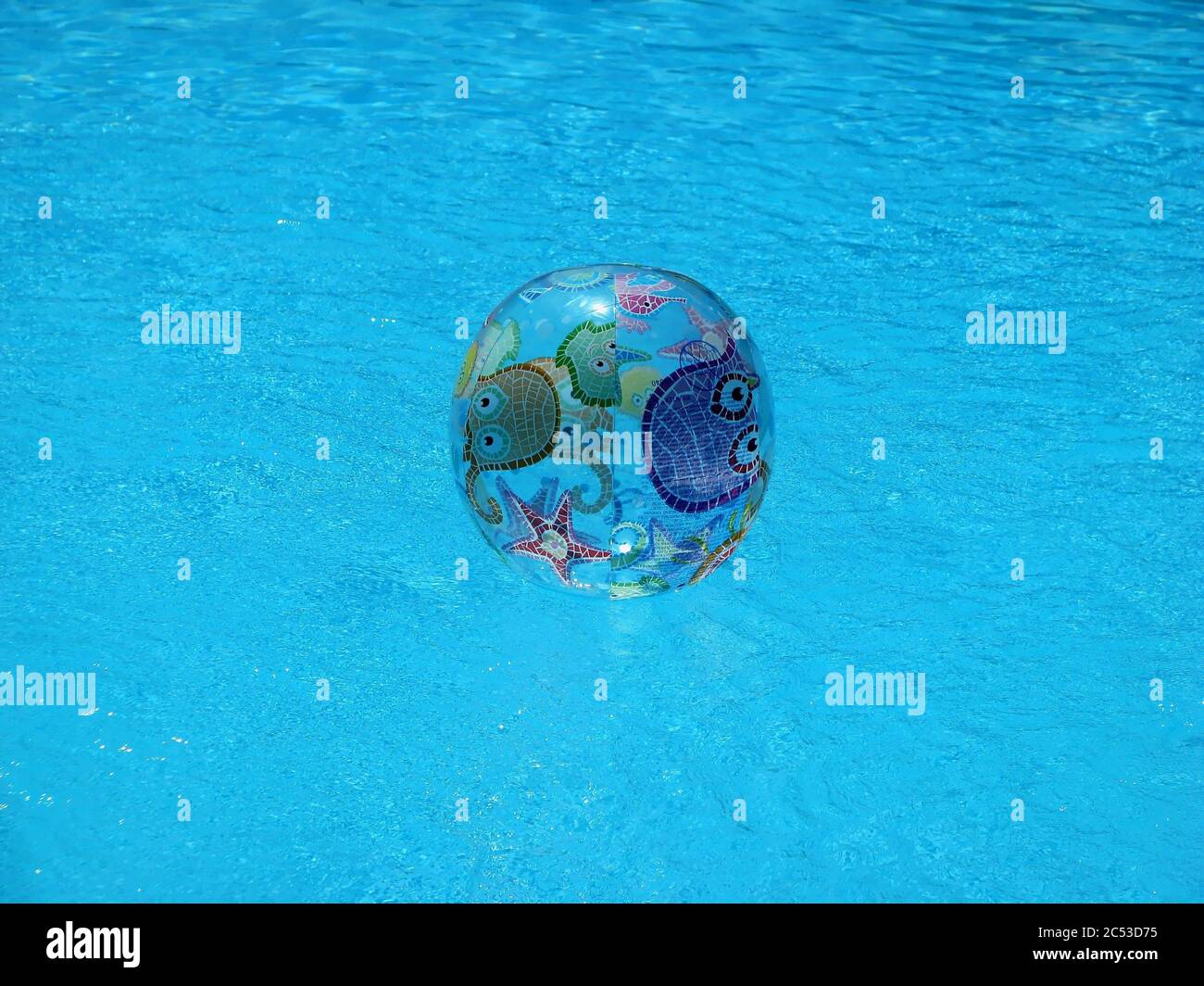Horizontal shot of a beach ball with starfish and medusa on a swimming ...