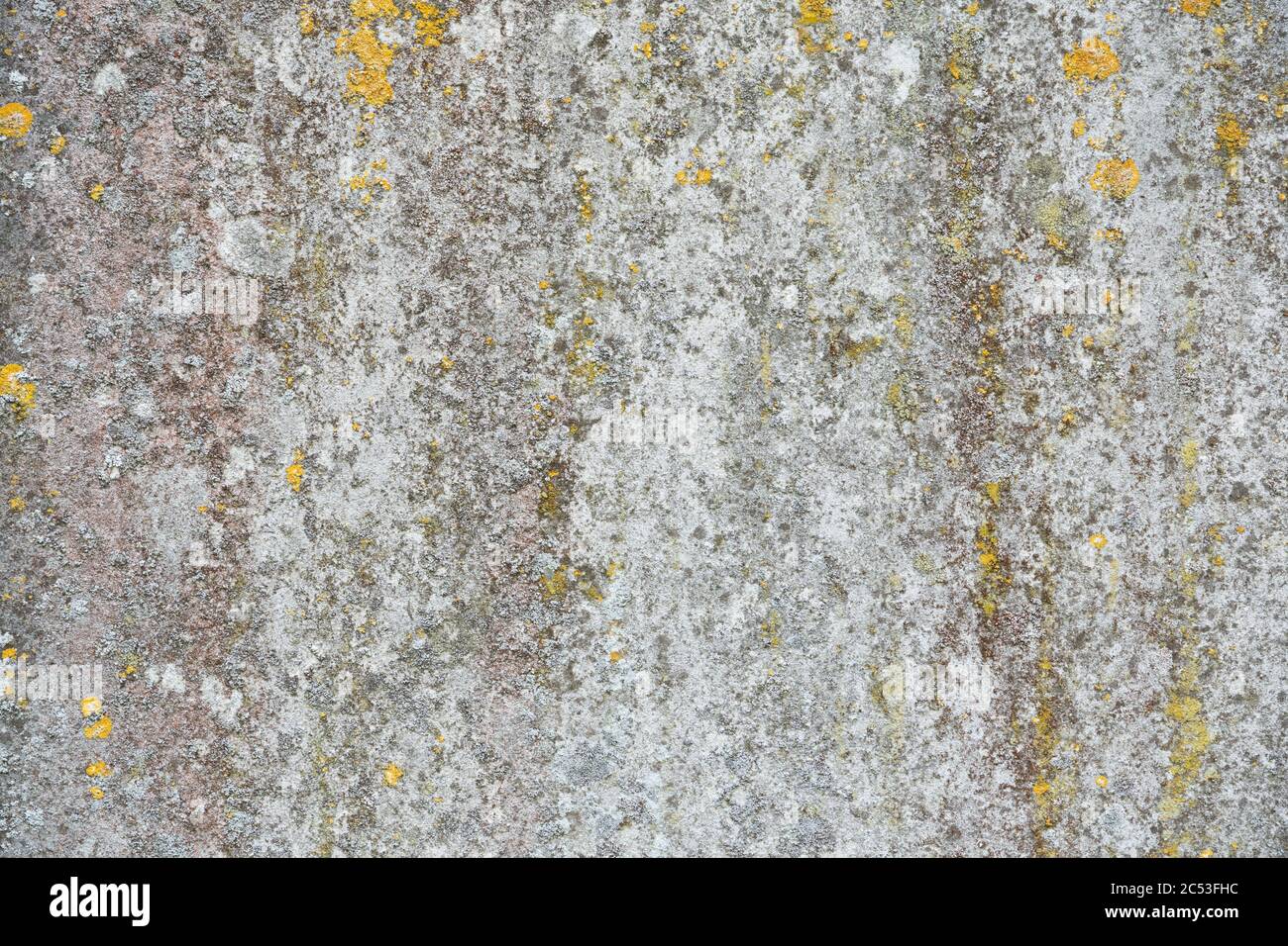 Old flat weathered stone with lichen. Background texture Stock Photo ...