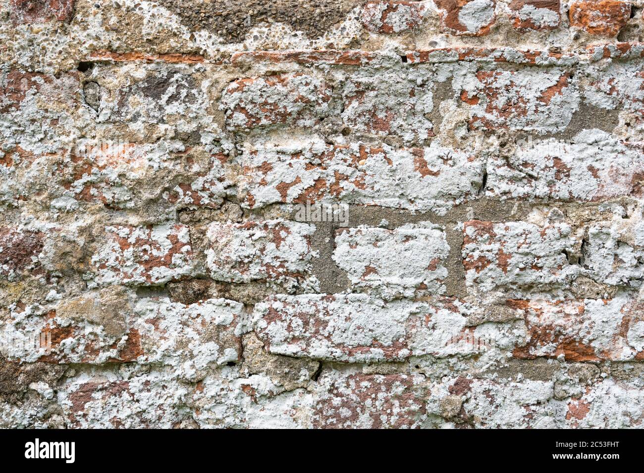 White washed wall texture hi-res stock photography and images - Alamy