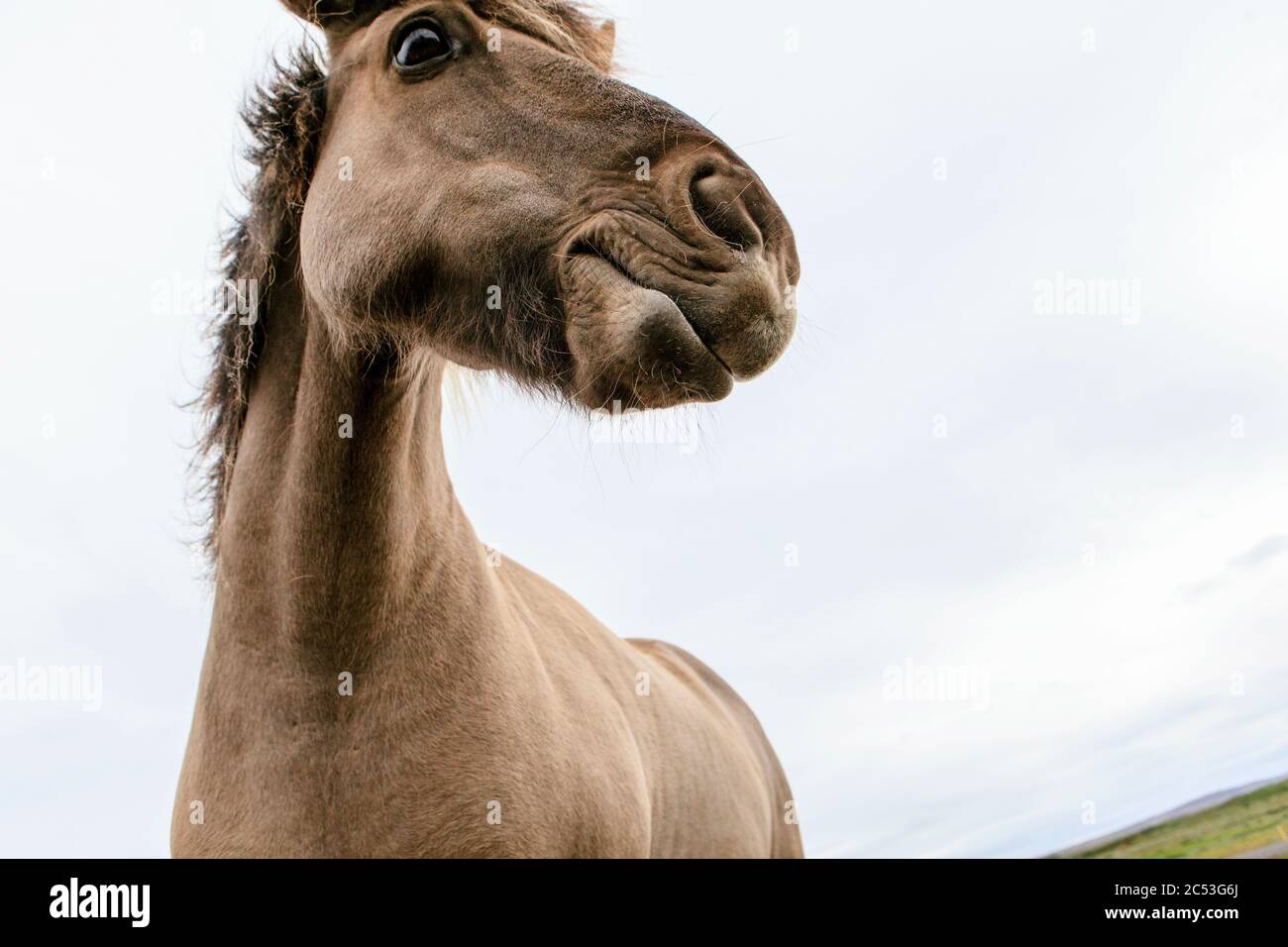 Yap day hi-res stock photography and images - Alamy