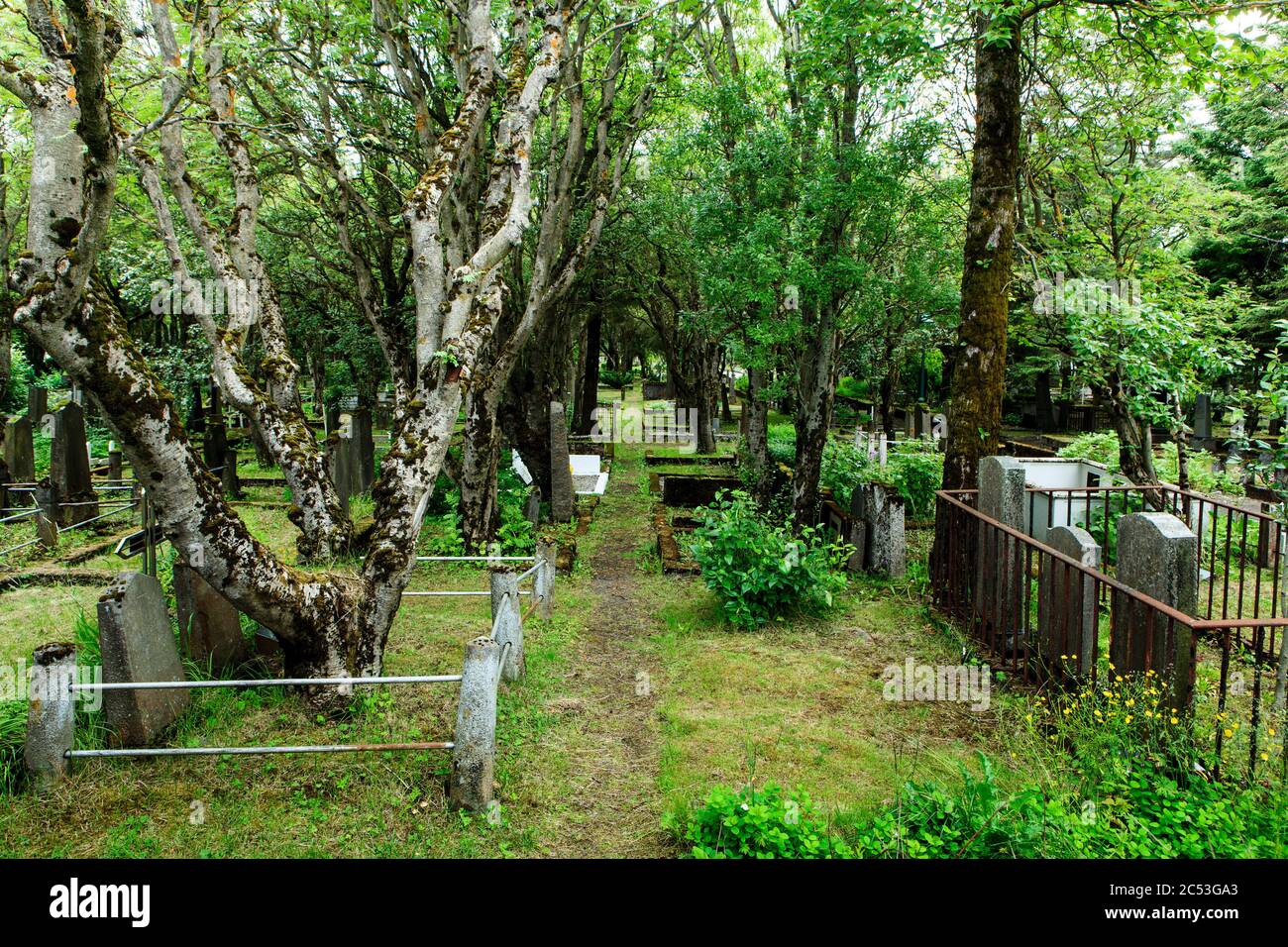 Reykjavik graveyard hi-res stock photography and images - Alamy