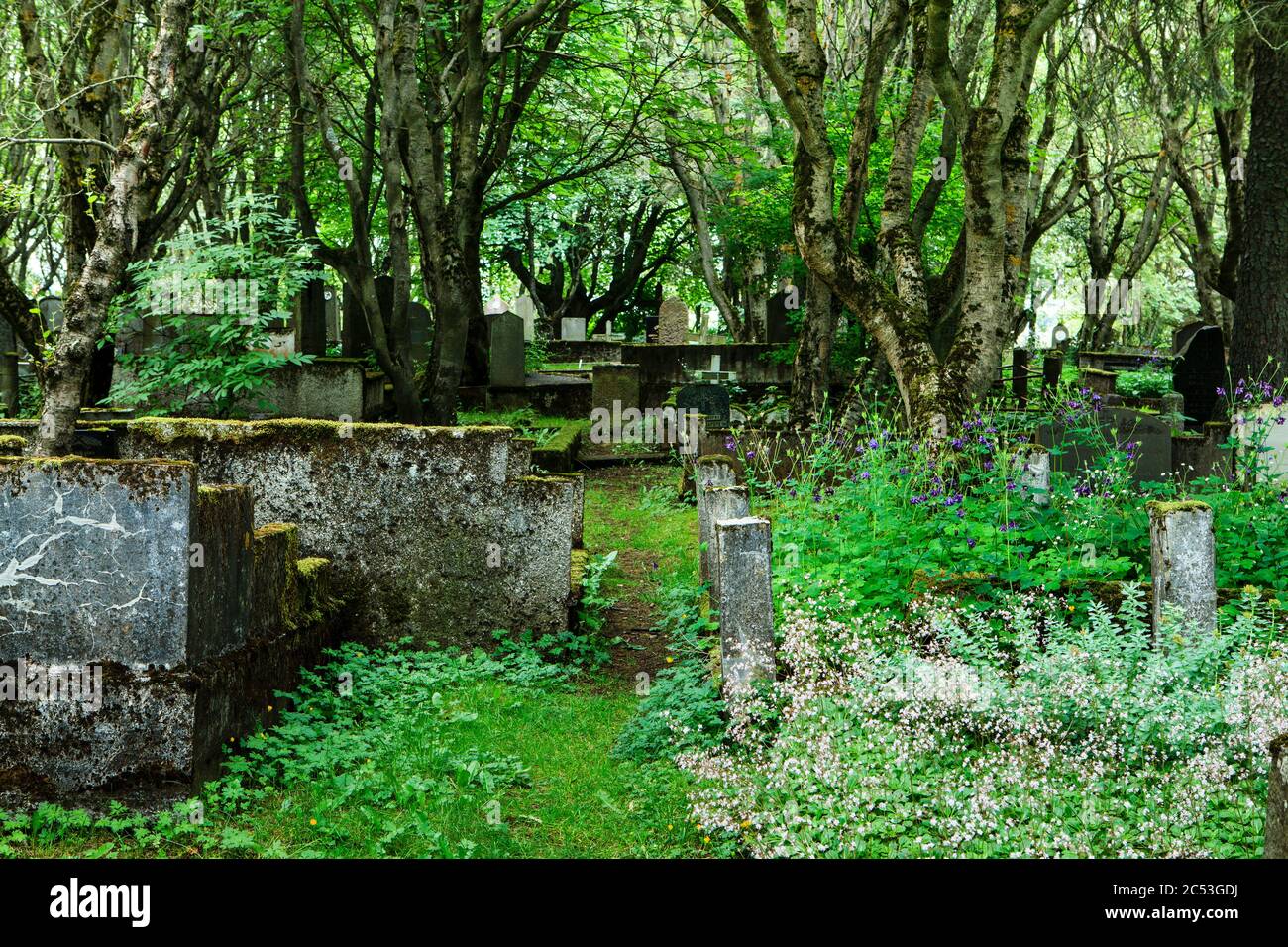 Reykjavik graveyard hi-res stock photography and images - Alamy