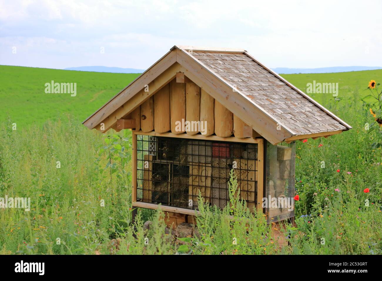 Build a bug home hi-res stock photography and images - Alamy