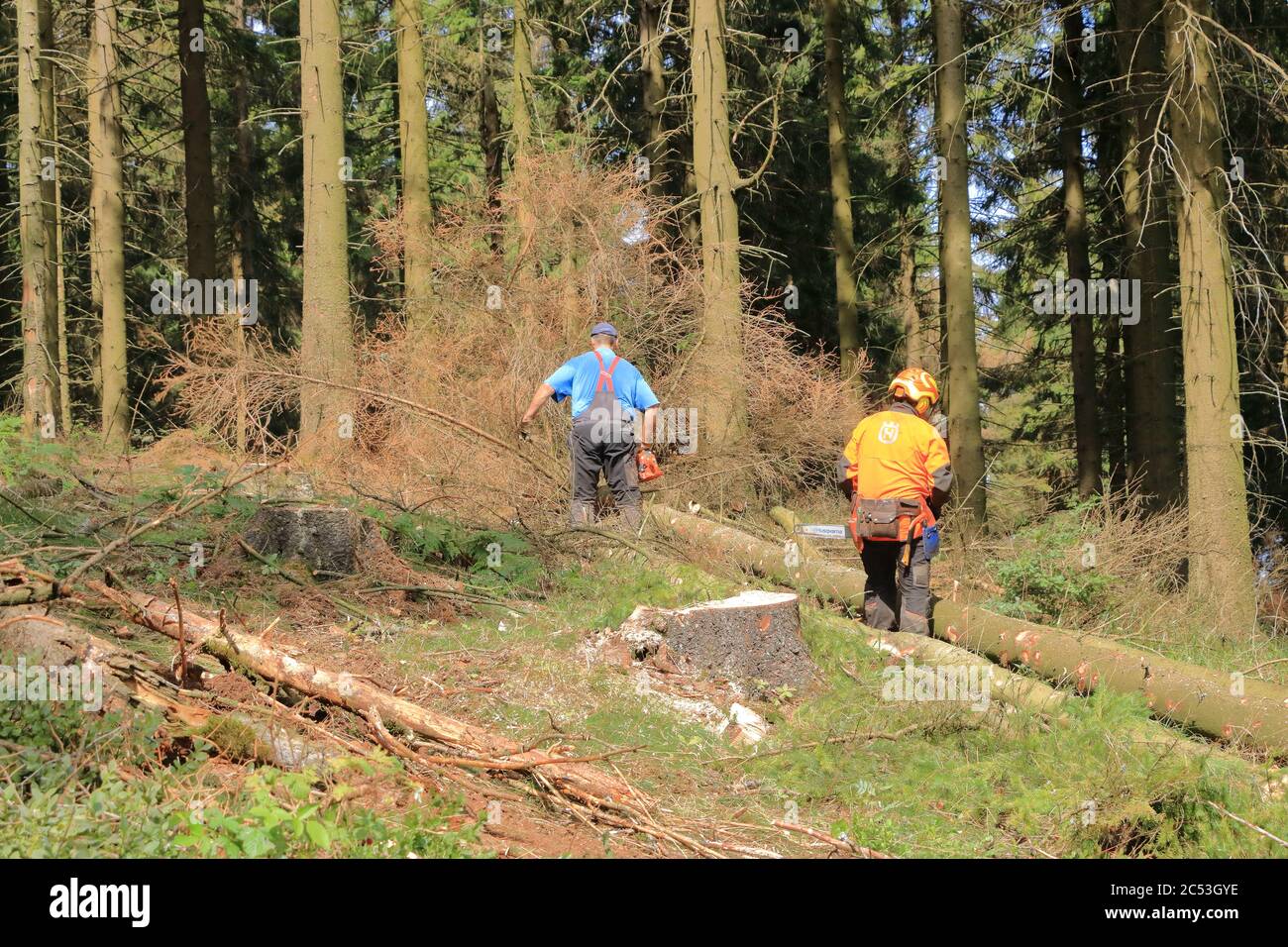 Forester men hi-res stock photography and images - Alamy