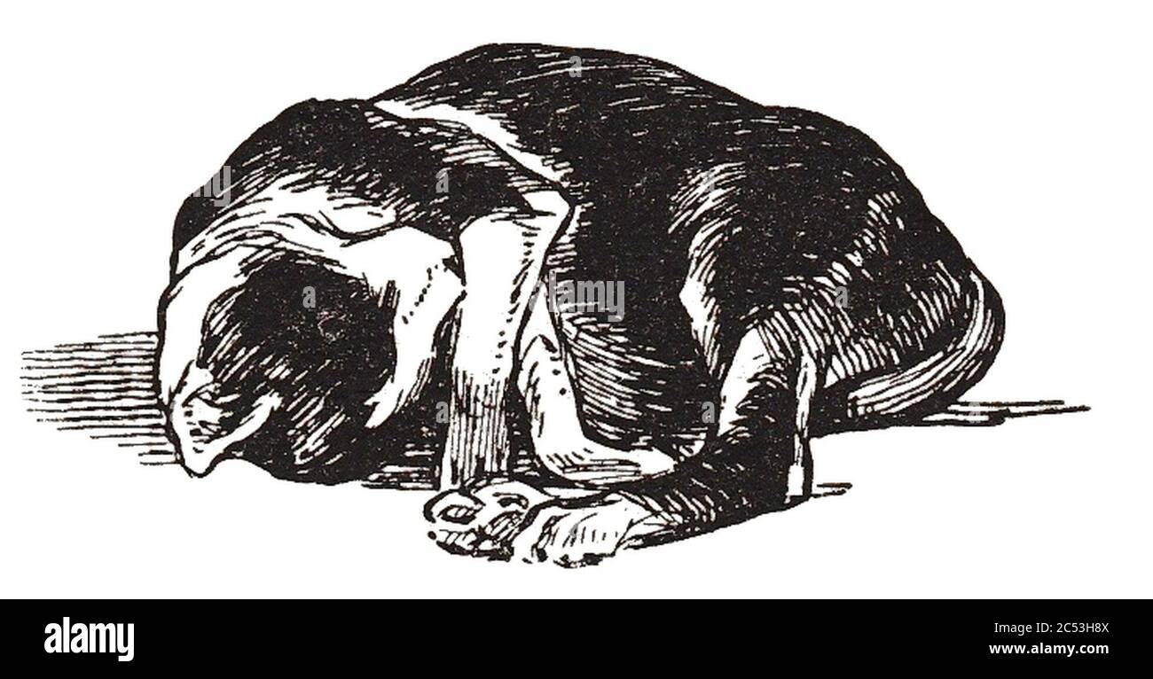 Inspektor hi-res stock photography and images - Alamy