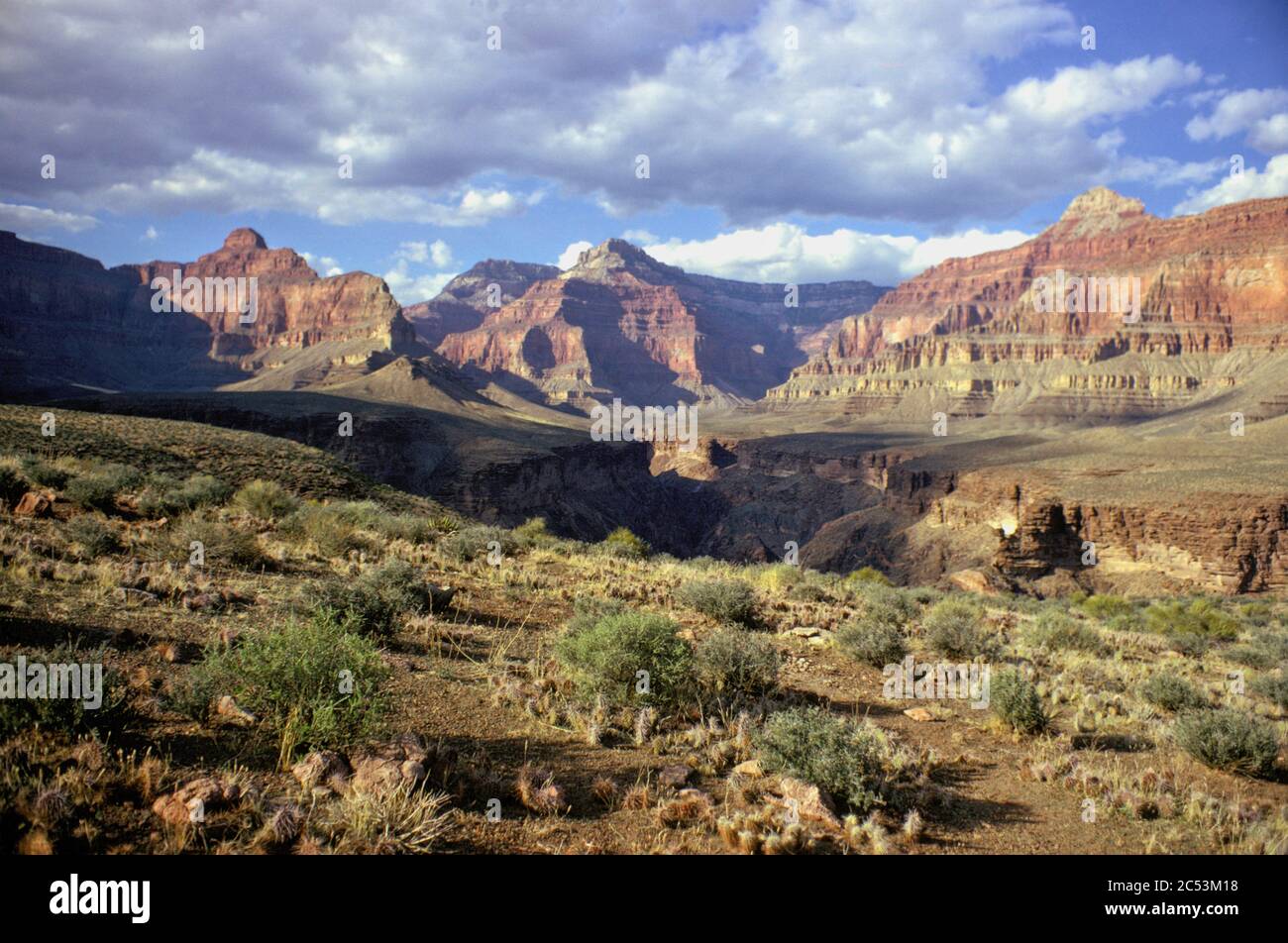 Tonto national park hi-res stock photography and images - Alamy