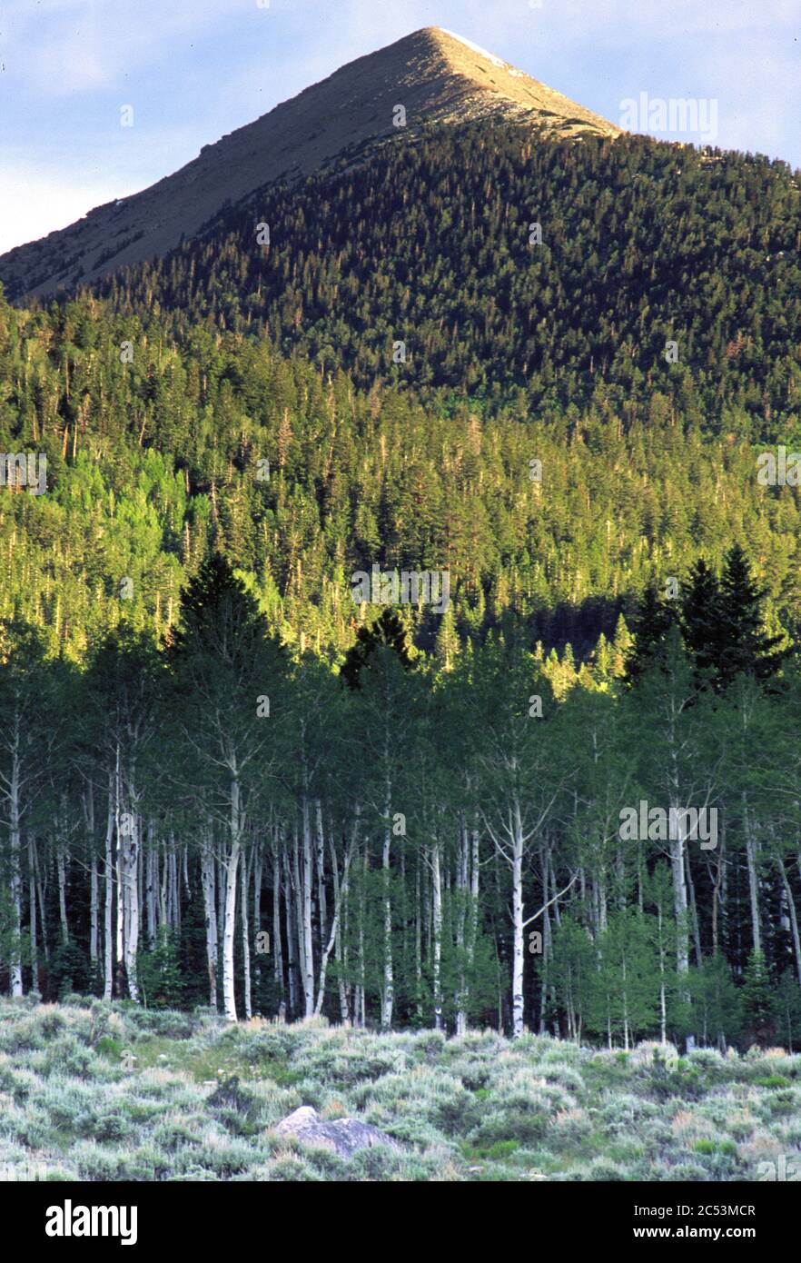 Great Basin National Park and Mount Moriah Wilderness, Snake Range ...
