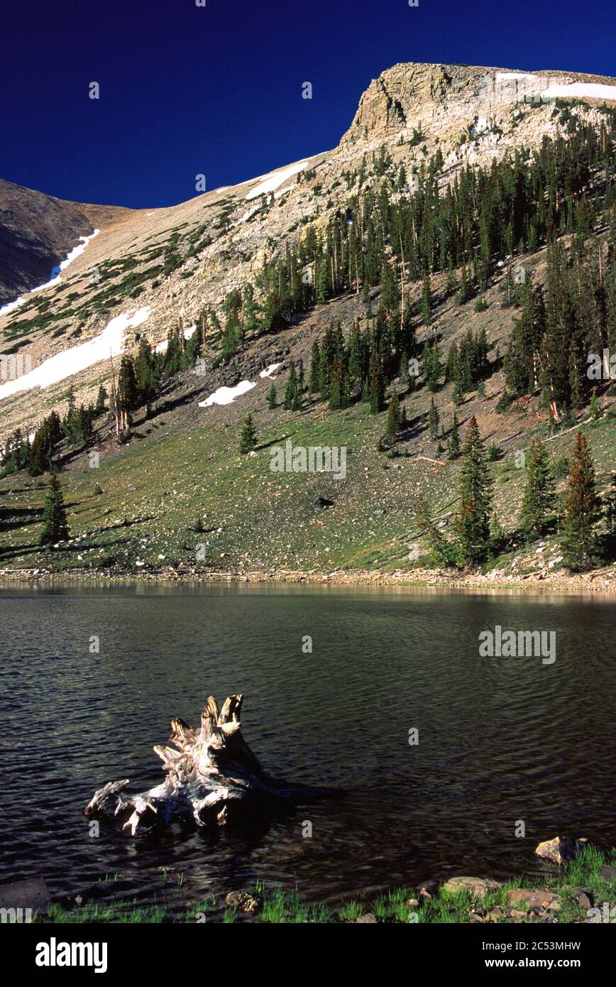 Great Basin National Park and Mount Moriah Wilderness, Snake Range ...
