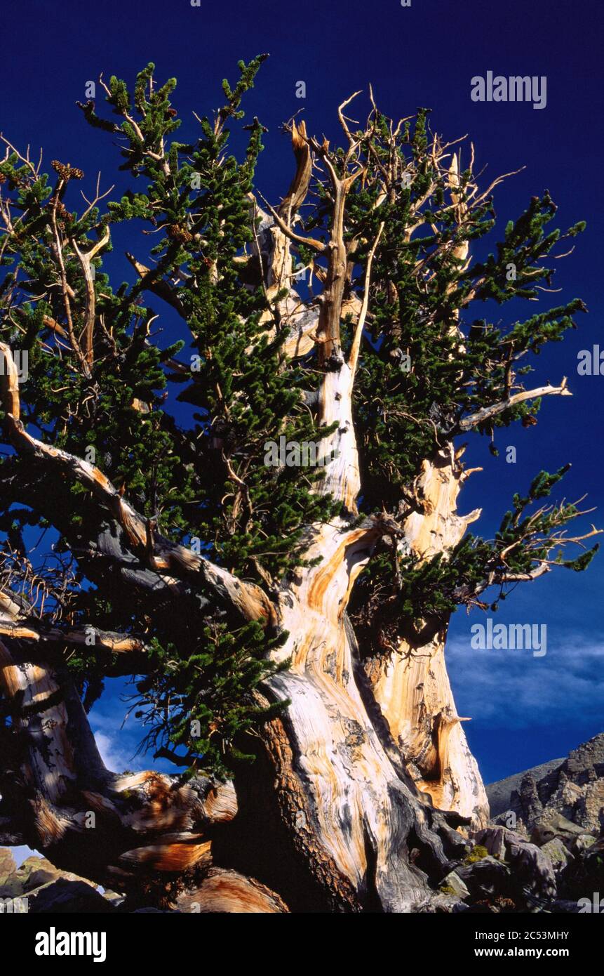 Mount Moriah High Resolution Stock Photography and Images - Alamy