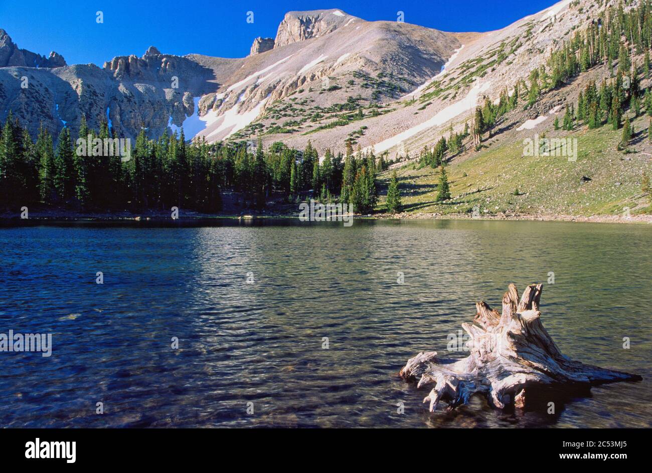 Stella Lake, Great Basin National Park, Nevada Stock Photo - Alamy
