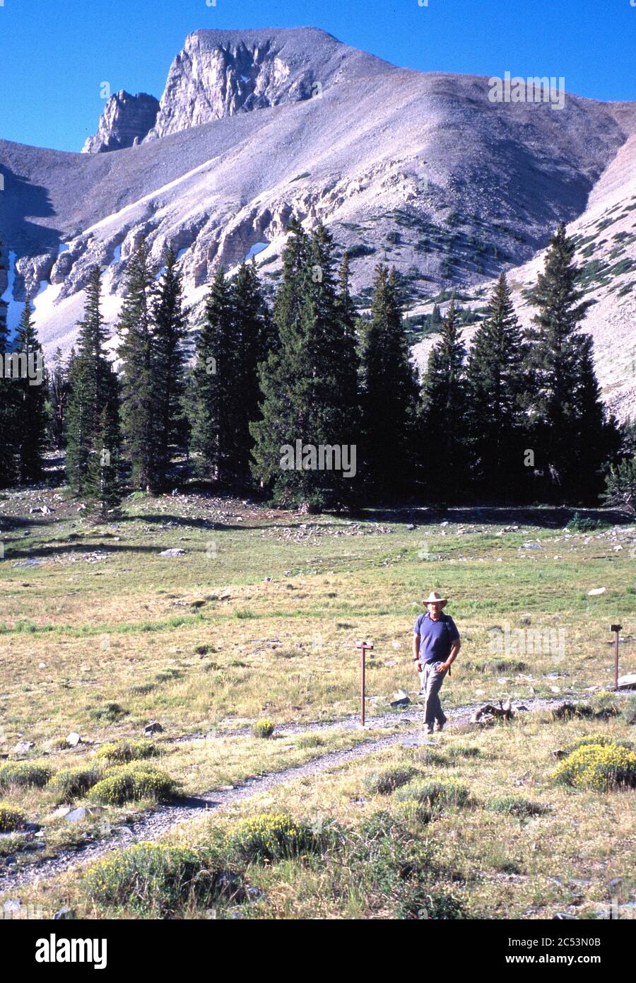 Great Basin National Park and Mount Moriah Wilderness, Snake Range ...