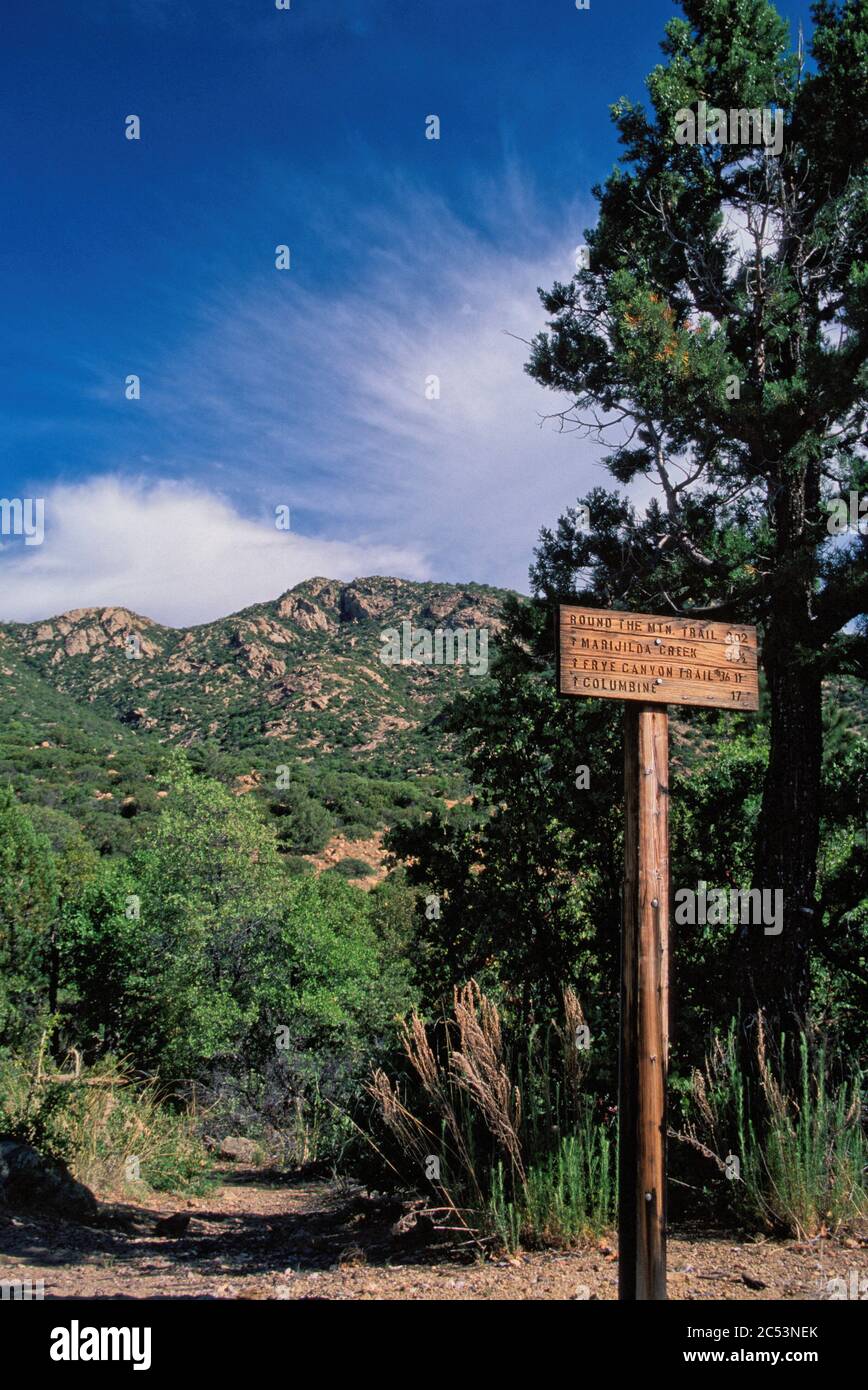 Pinaleno mountain hi-res stock photography and images - Alamy