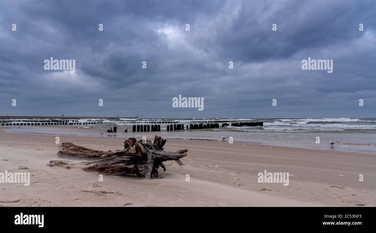 Baltic Tribe High Resolution Stock Photography and Images - Alamy
