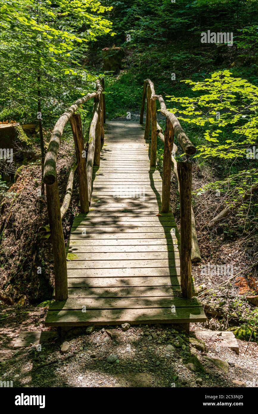 Nice idyllic old bridge in a fairytale forest Stock Photo - Alamy