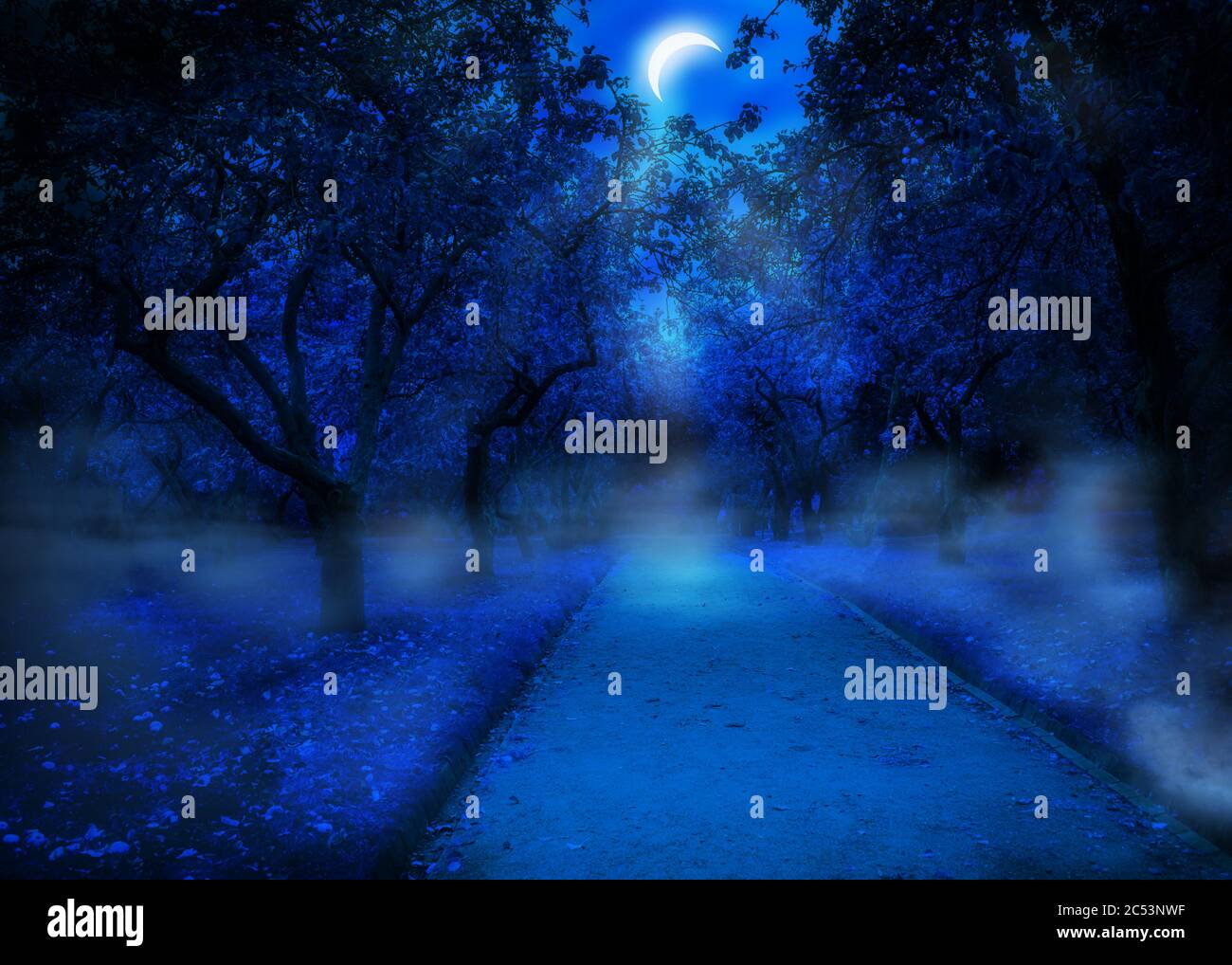 Abstract blue apple trees in the night park background Stock Photo - Alamy