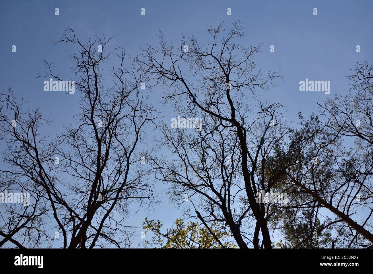 Cloudless day hi-res stock photography and images - Alamy