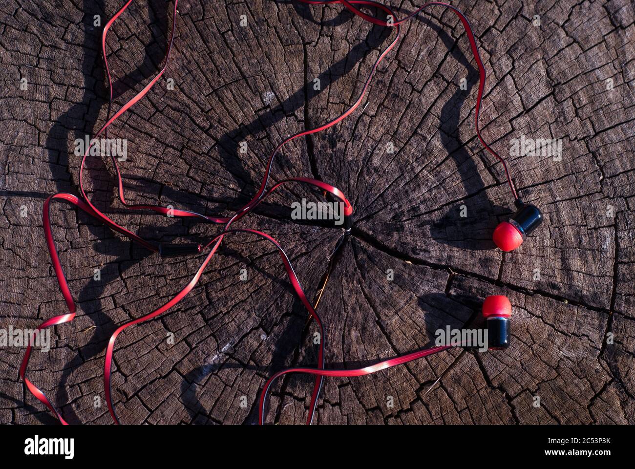 Earphones connected to a tree stump, conceptual nature image Stock ...