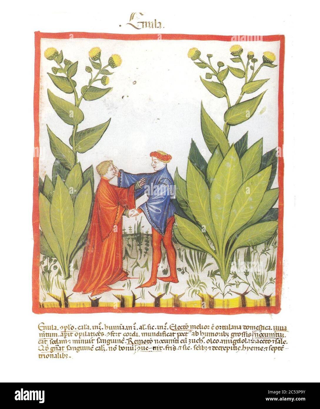 Ibn butlan hi-res stock photography and images - Alamy