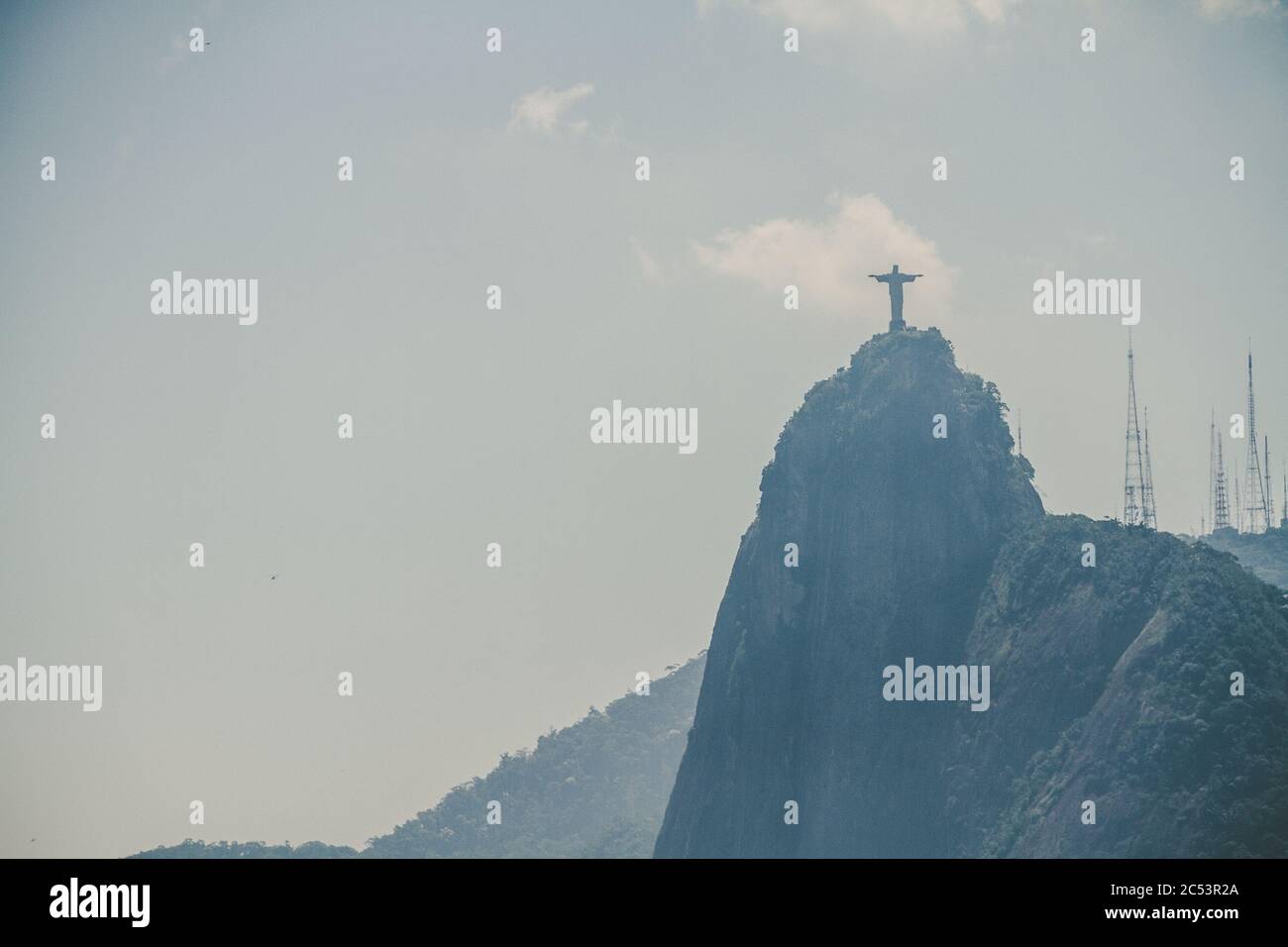 Brazil Atlantic Forest High Resolution Stock Photography and Images - Alamy