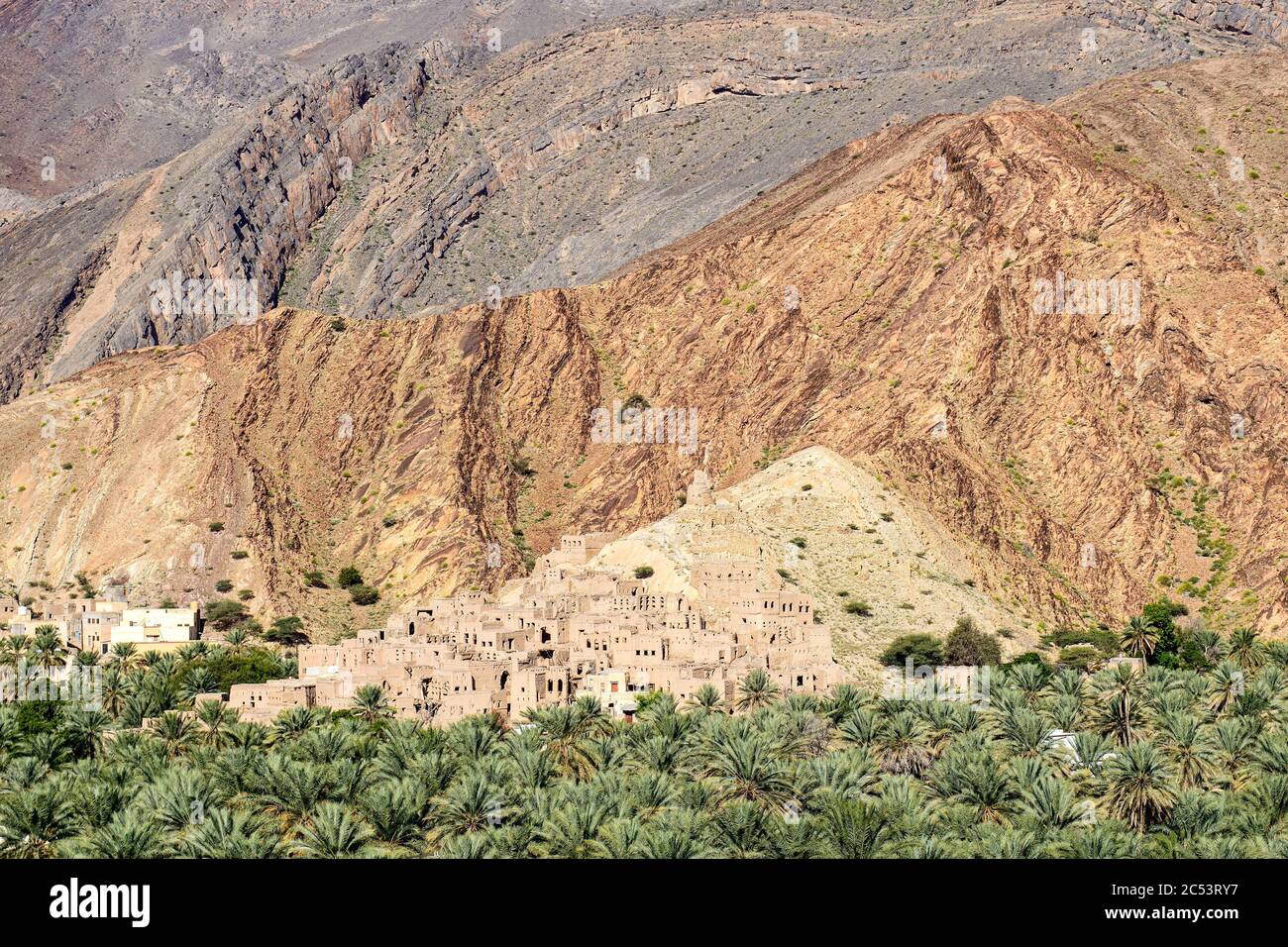 Oasis, palm trees, date palms, houses, fortress, ruin, defense tower ...
