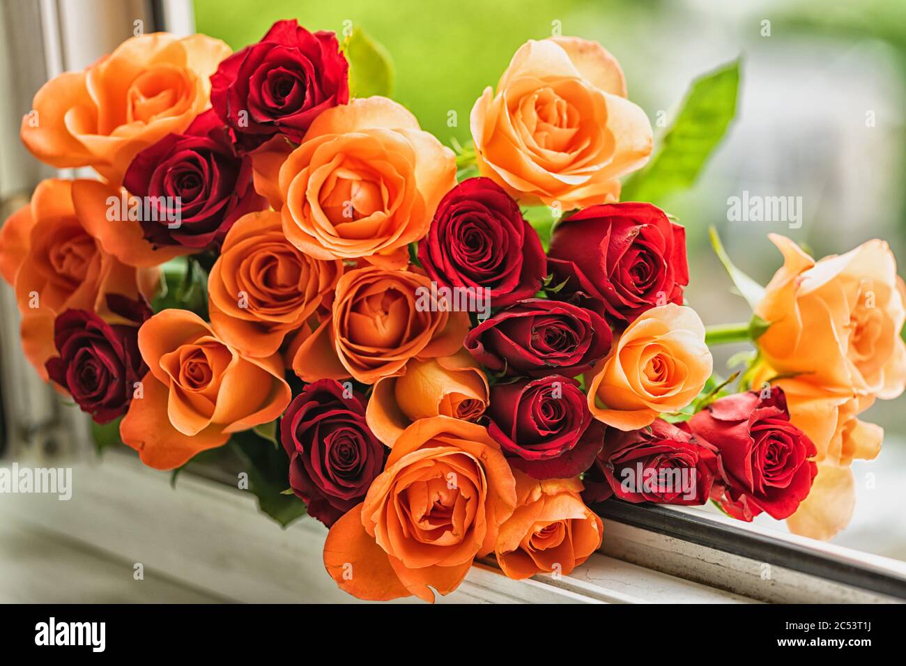 Coral And Orange Roses