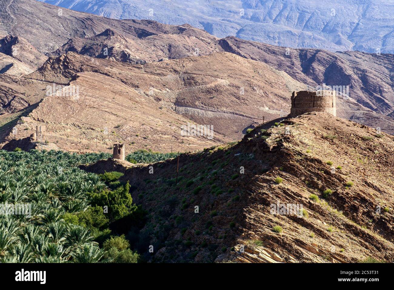 Oasis, palm trees, date palms, houses, fortress, ruin, defense tower ...