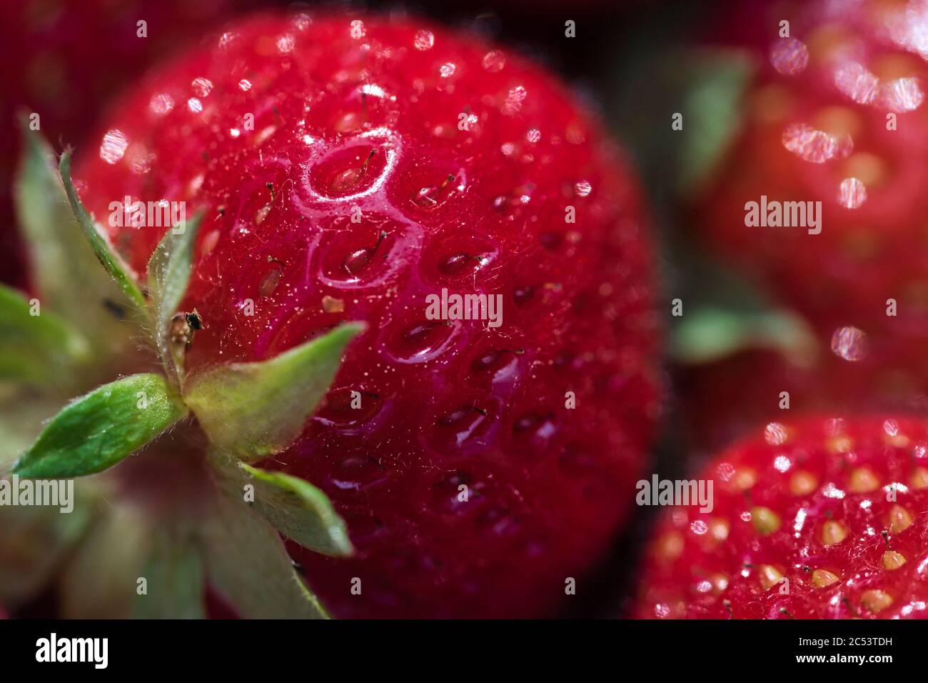 Red ripe and juicy strawberries, fruits texture macro background, full ...