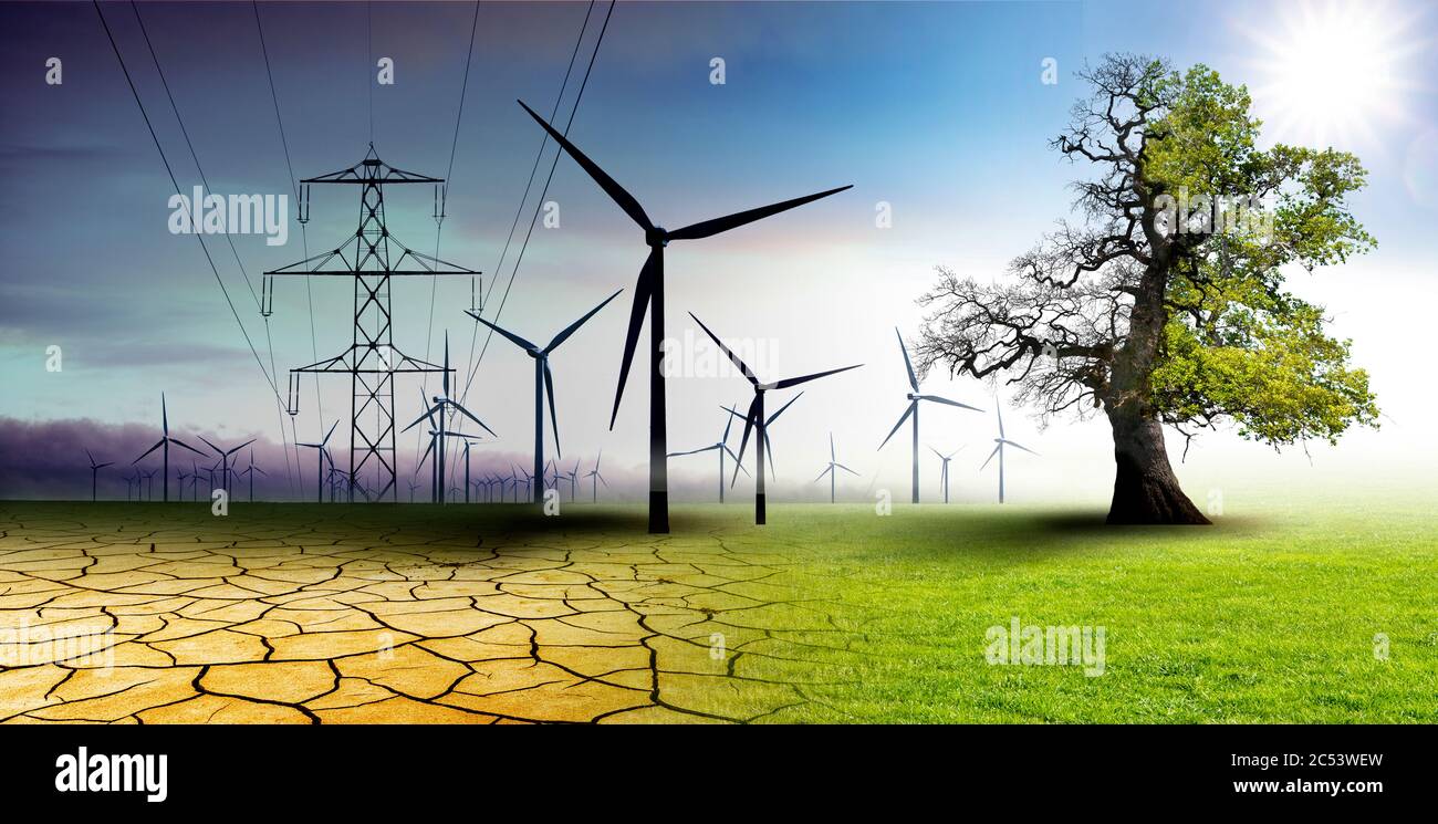 Climate change - landscape with solar park; Power line and oak tree ...