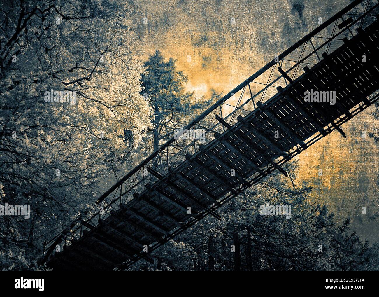 Wooden walkway above a hi-res stock photography and images - Alamy