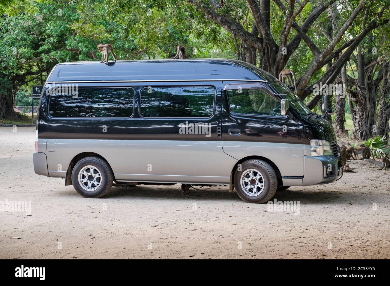 Monkey bus hi-res stock photography and images - Alamy