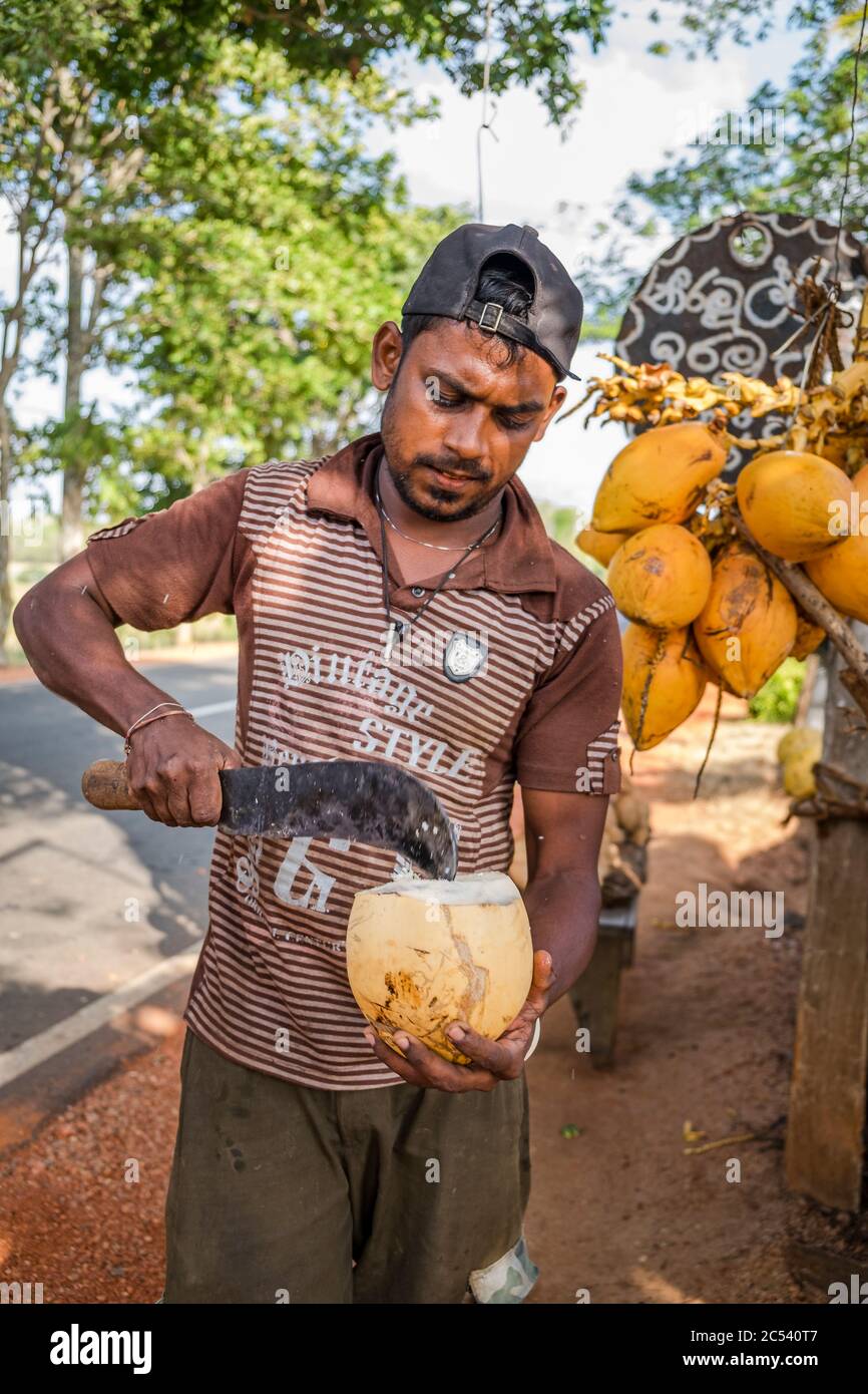 Coconut seller with machete on the wayside in Sri Lanka Stock Photo - Alamy