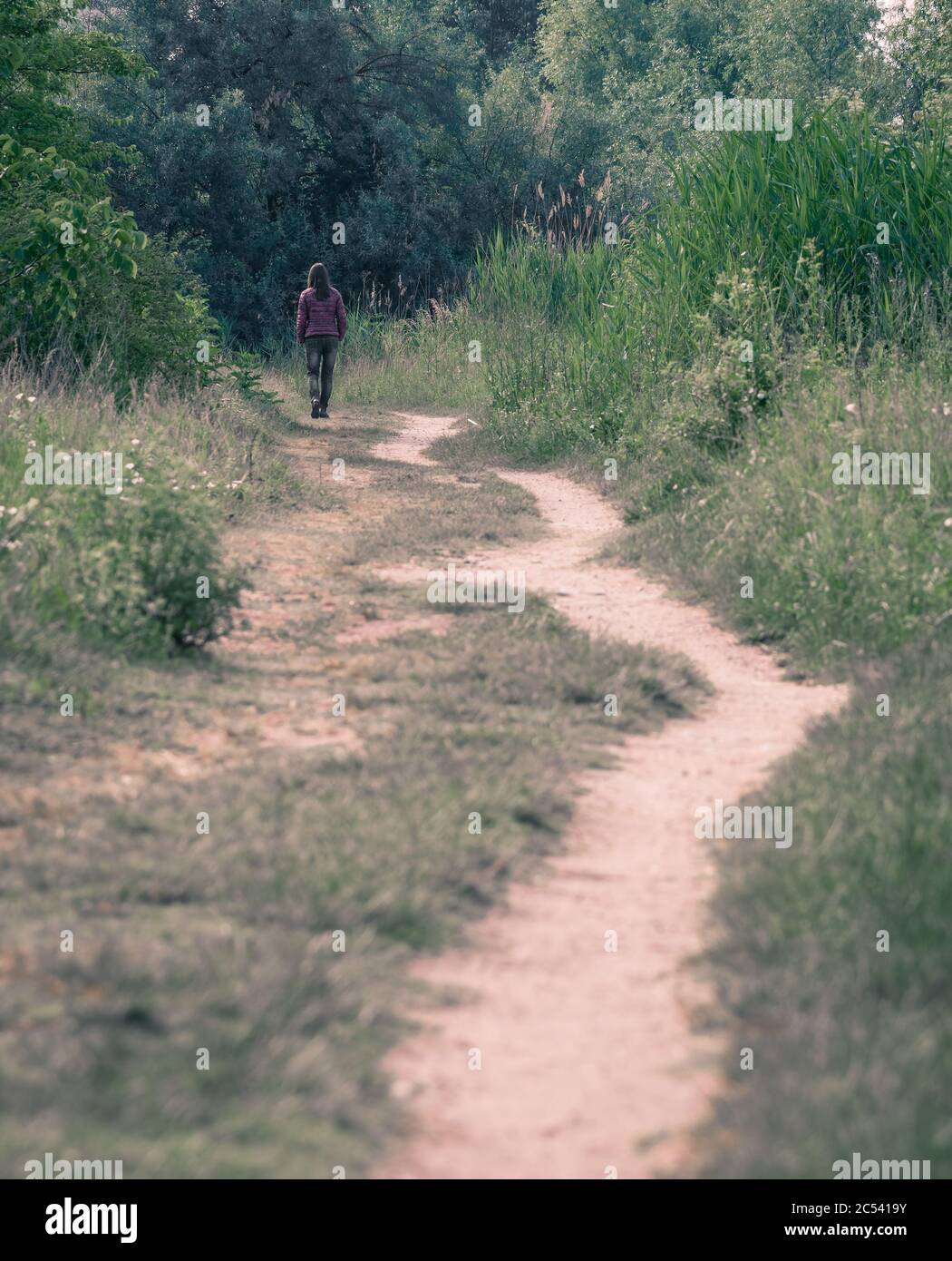 Lonely girl walking on a footpath surrounded by trees and high grass ...