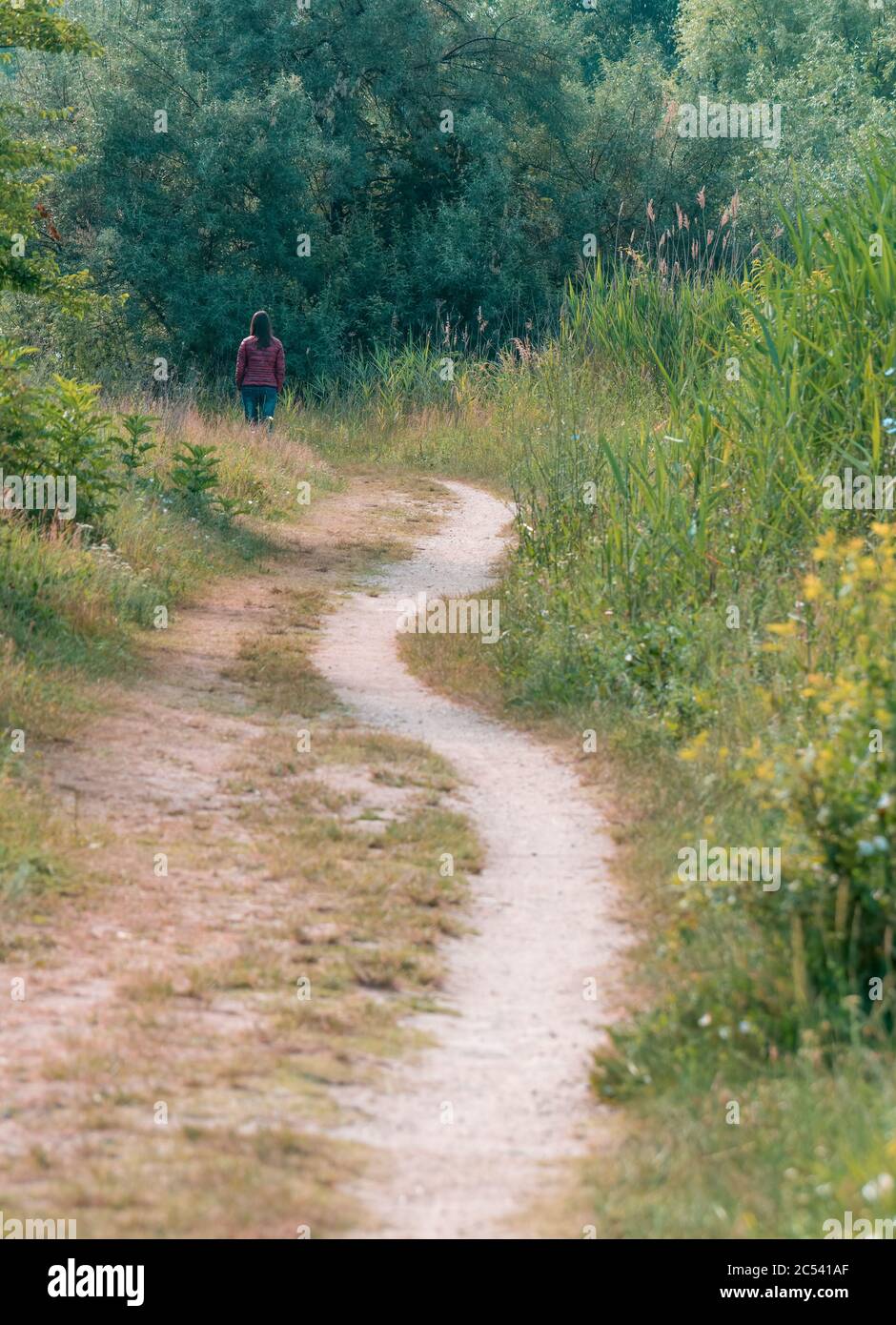 Lonely girl walking on a footpath surrounded by trees and high grass ...
