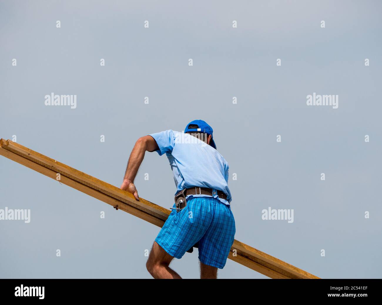 Construction worker or carpenter carrying roof rafters to build or ...