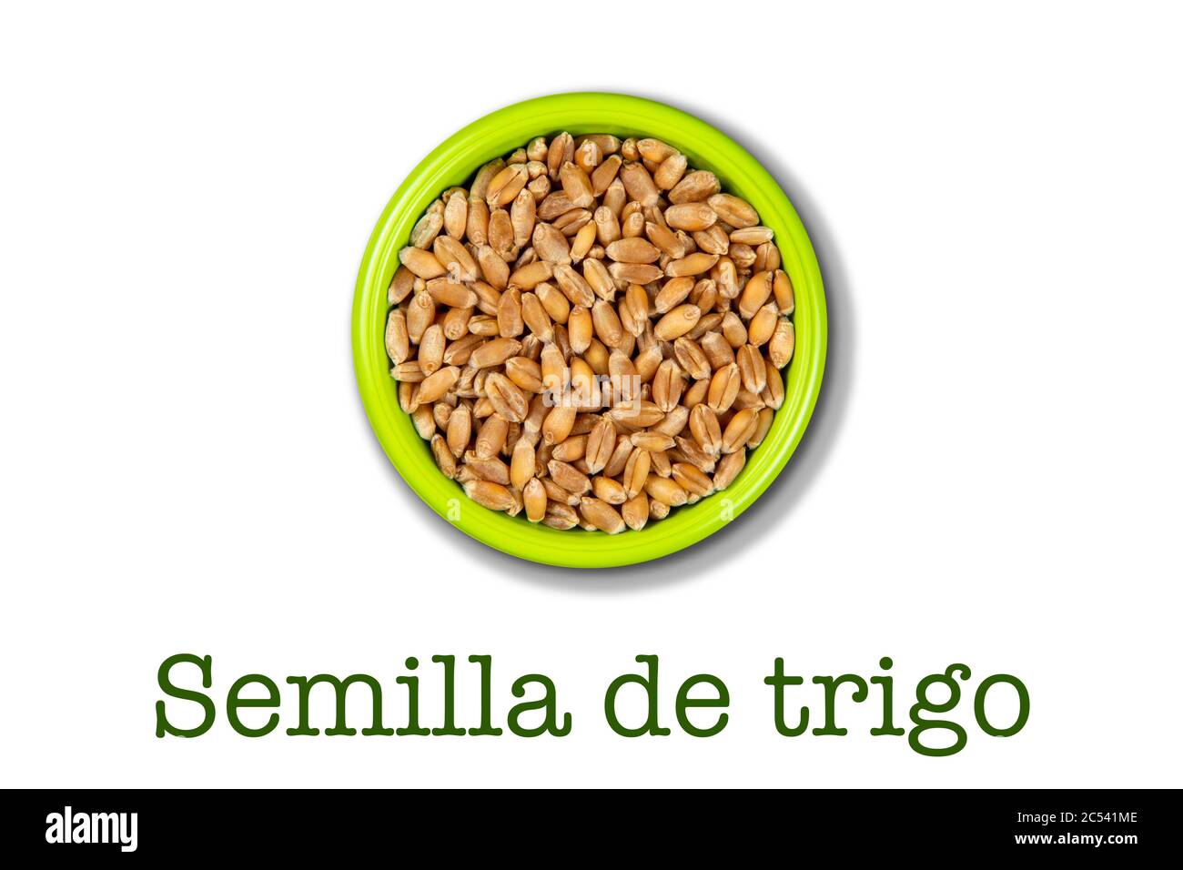 Green Bowl with culinary ingredients Wheat Seed (text in Spanish) on ...