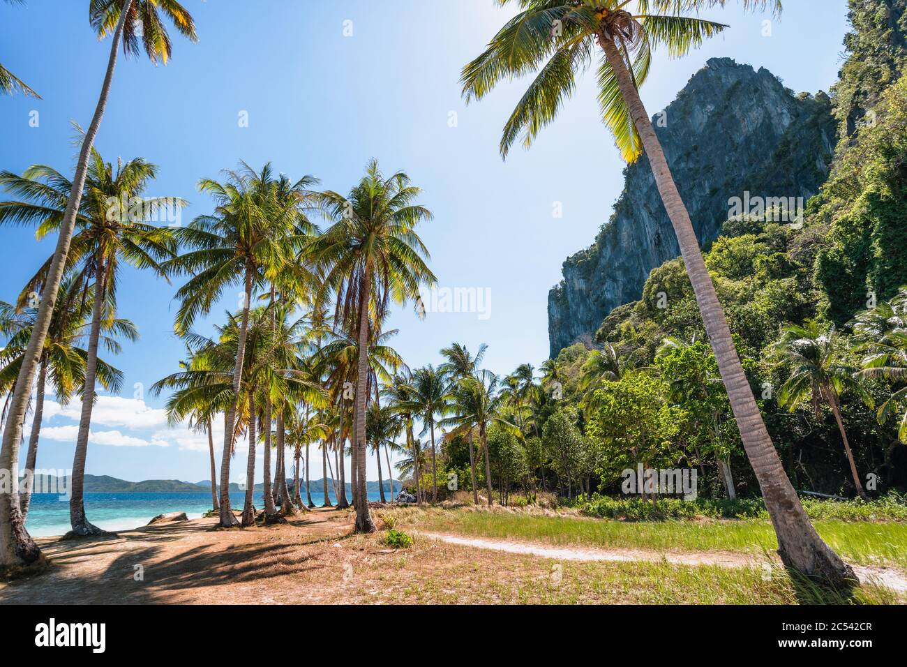 El Nido, Palawan, Philippines. Palm trees on tropical beach with rock ...
