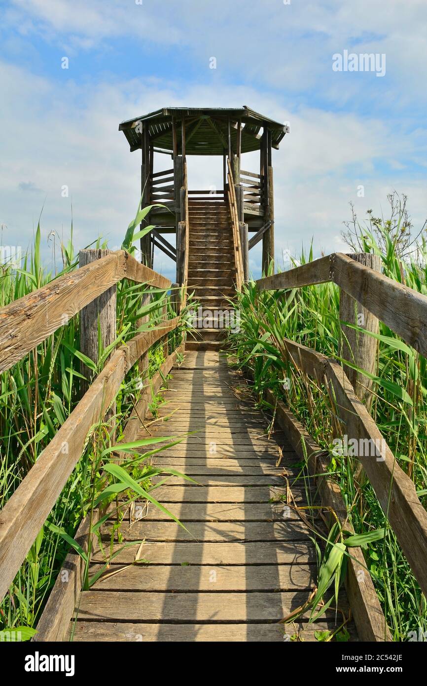 A wooden wildlife observation tower in the wetlands of Isola Della Cona ...