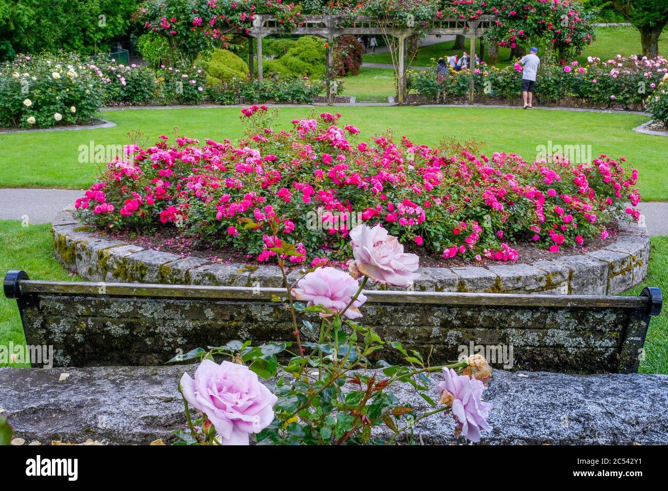 Centennial Rose Garden, Burnaby Mountain, British Columbia, Canada ...