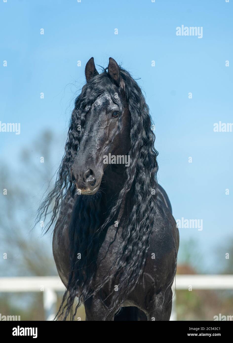 Wavy moving hi-res stock photography and images - Alamy