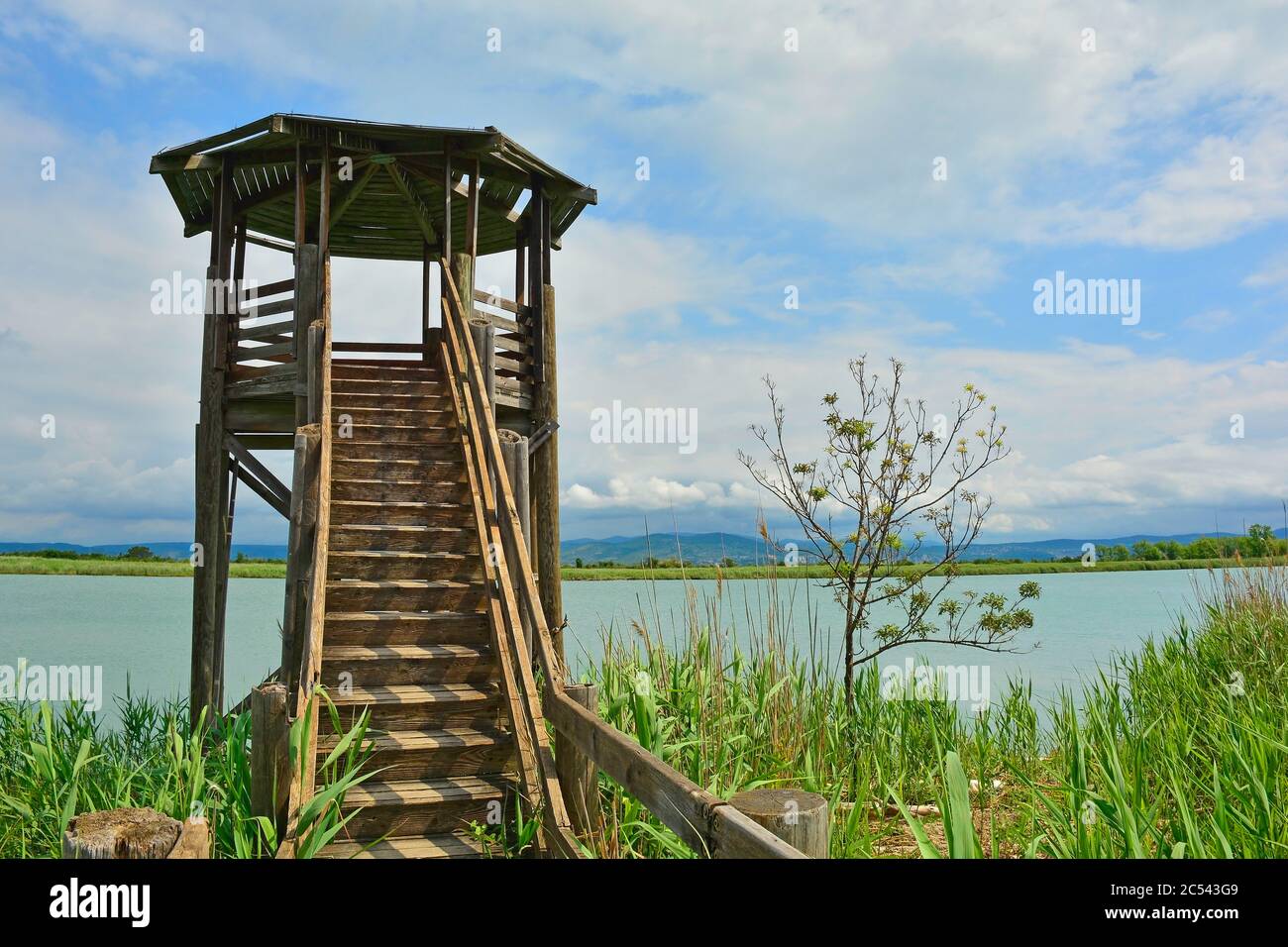 A wooden wildlife observation tower in the wetlands of Isola Della Cona ...