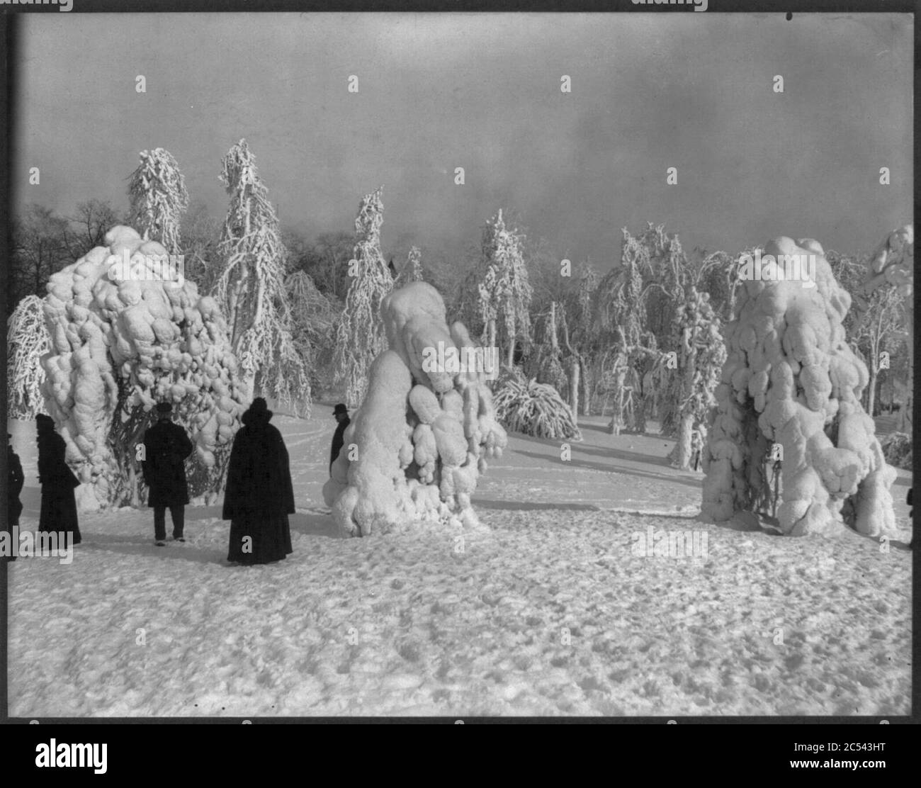 Prospect park history hi-res stock photography and images - Alamy