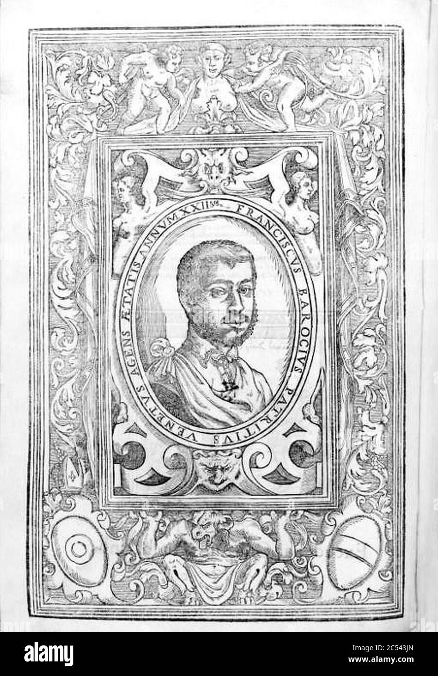 Elementorum hi-res stock photography and images - Alamy