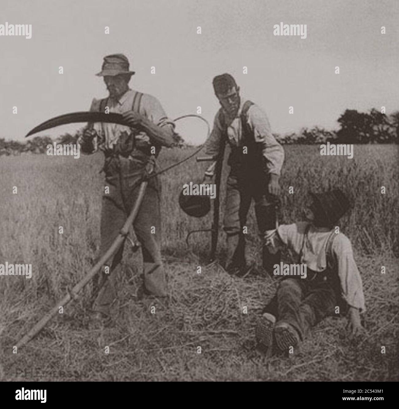 Barley harvest history hi-res stock photography and images - Alamy