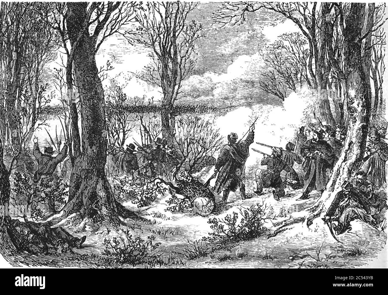 In the forests near Radom (January Uprising Stock Photo - Alamy