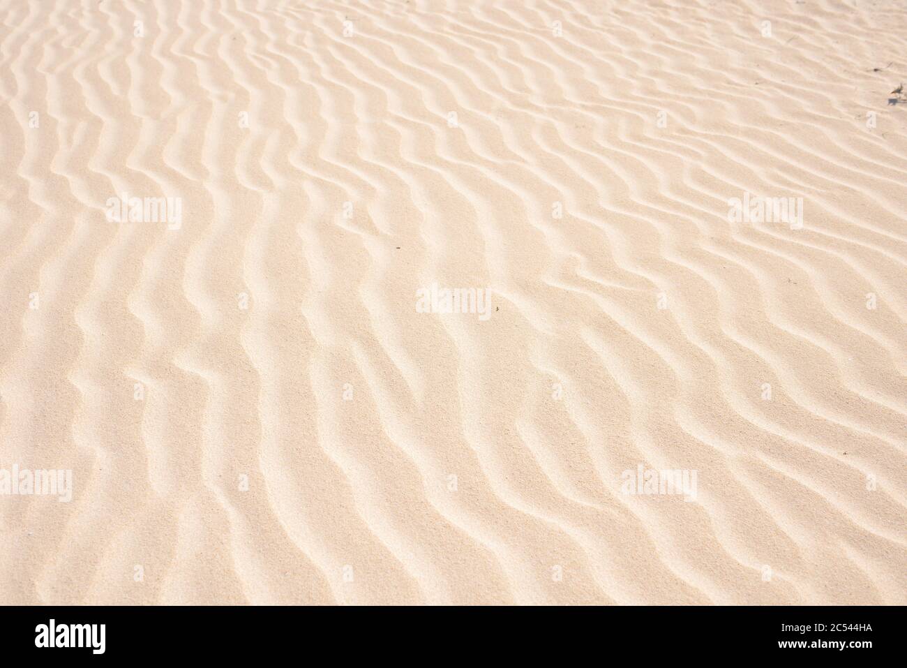 Golden sand in dune, background of sand in the desert Stock Photo - Alamy