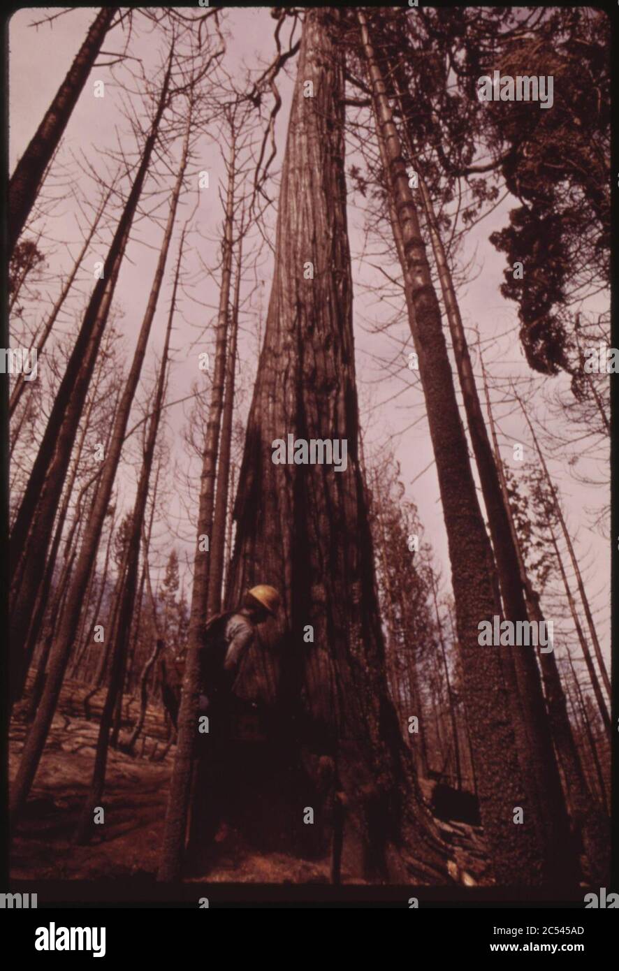 1973 fire hi-res stock photography and images - Alamy