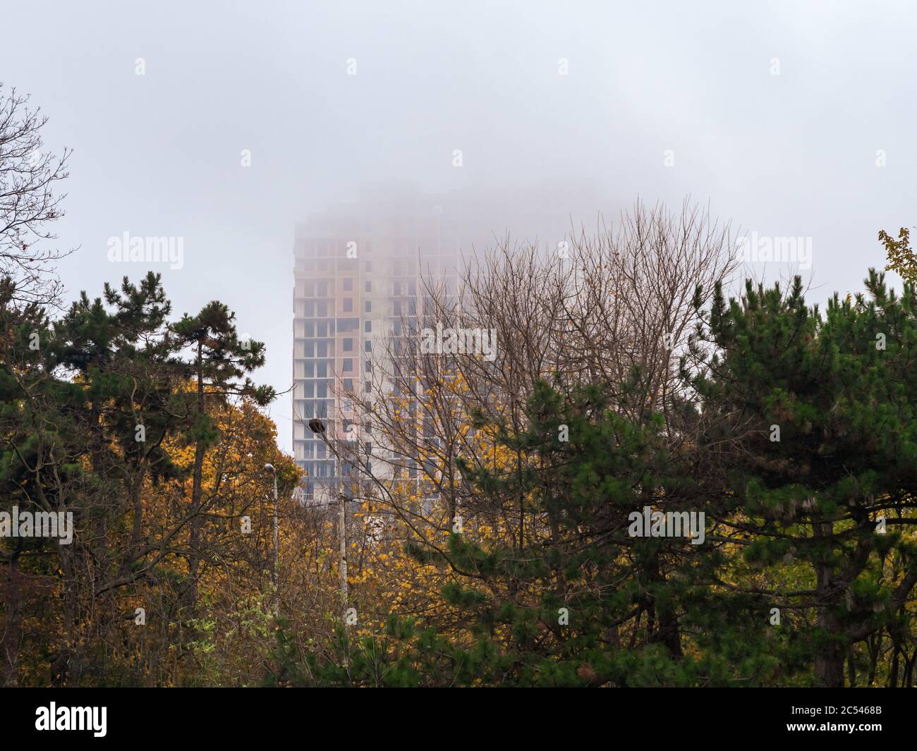 City view behind green trees hi-res stock photography and images - Alamy