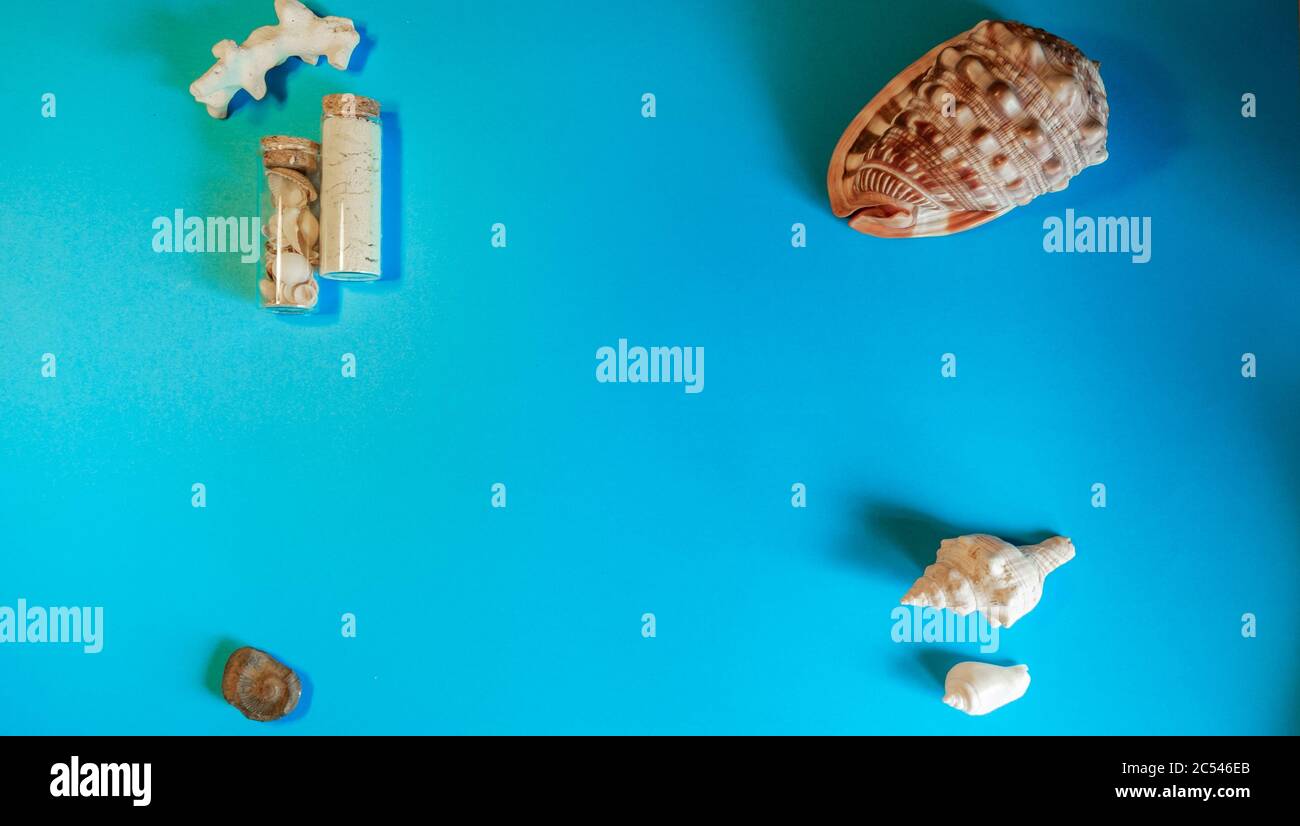 Horizontal top angle shot of various big and small seashells randomly ...