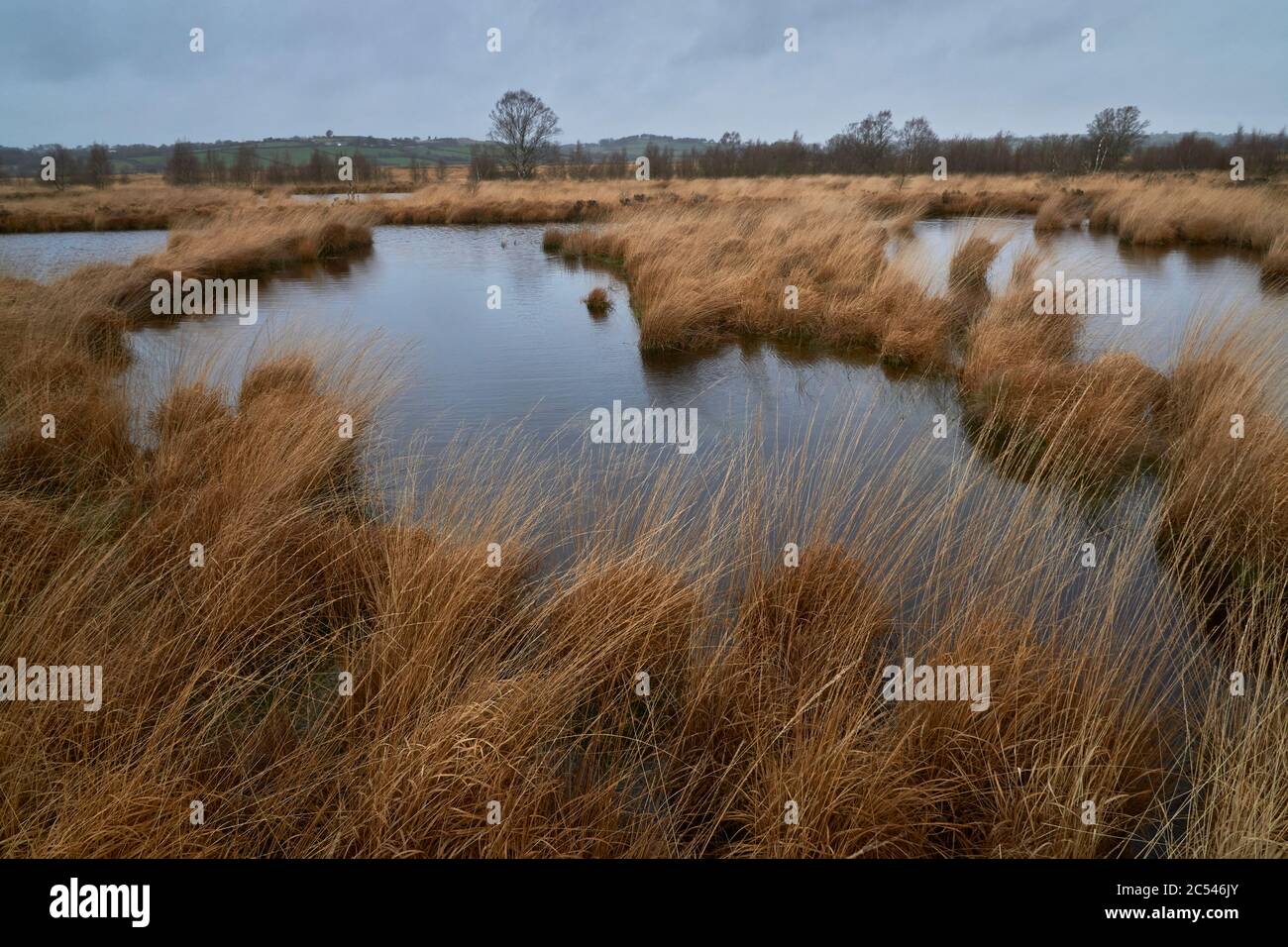 Cors caron national nature reserve hi-res stock photography and images ...